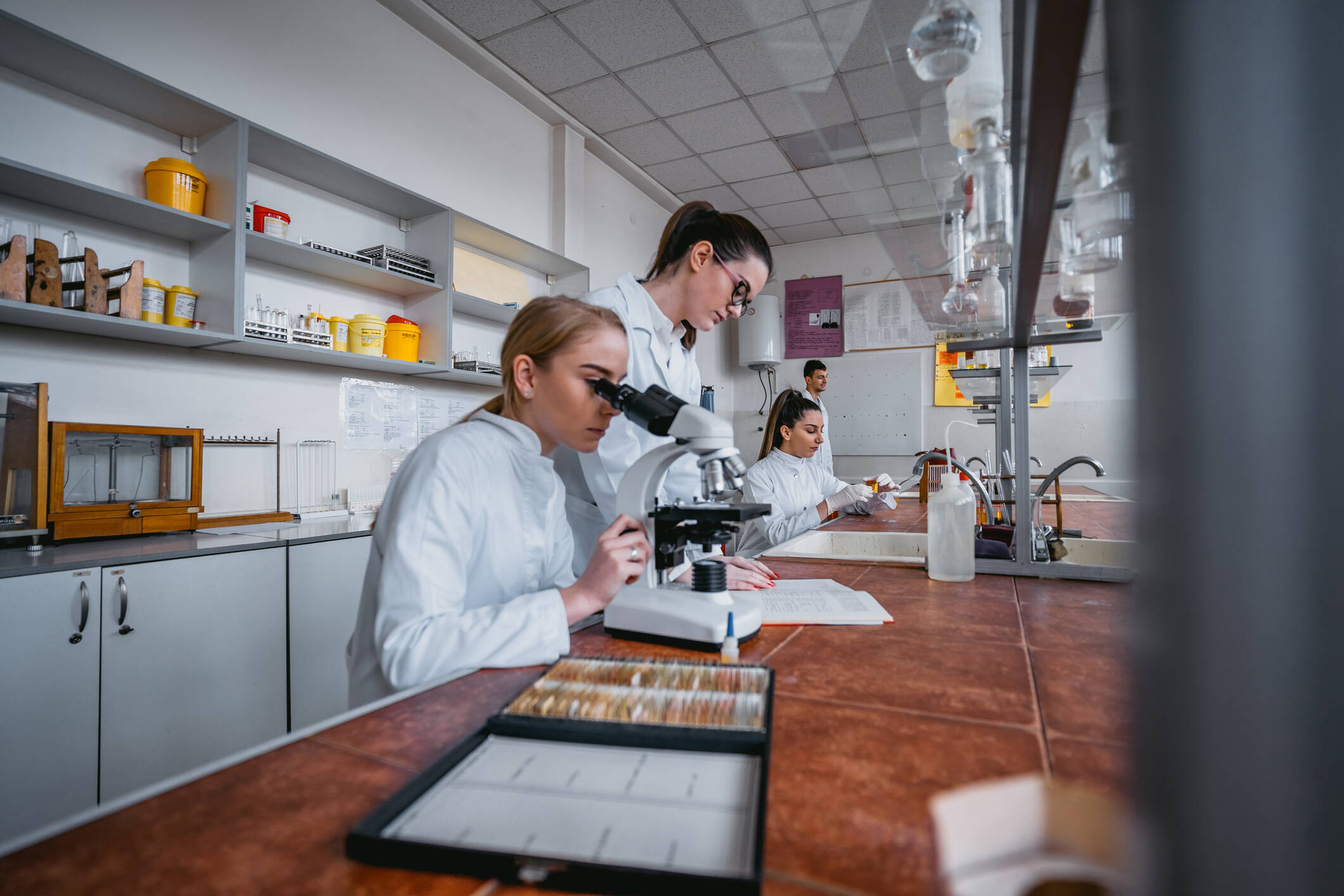 ¿Qué es el efecto Homero Simpson y cómo afecta nuestro cerebro?