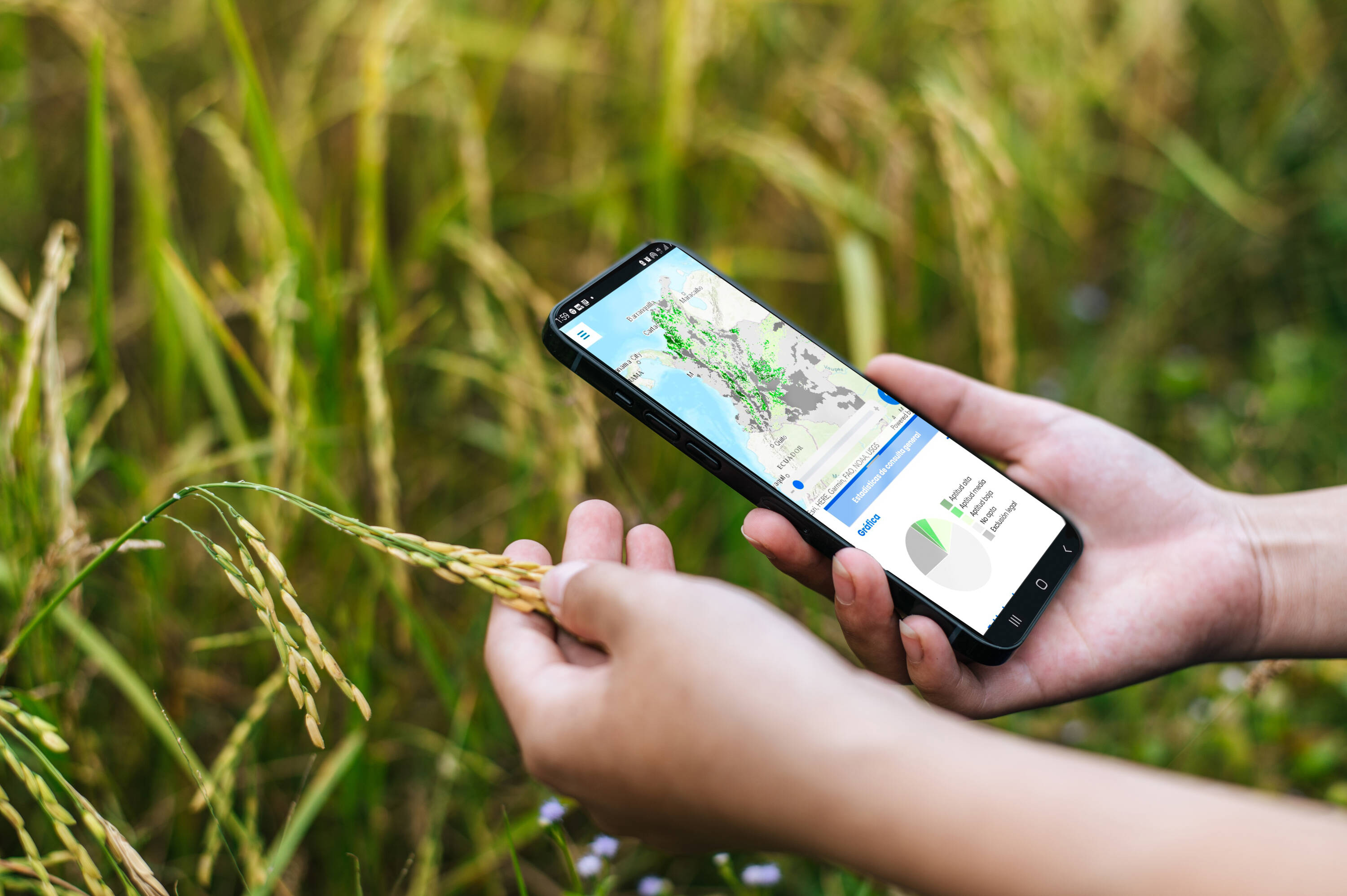 SIPRA: el visor geográfico del agro en Colombia