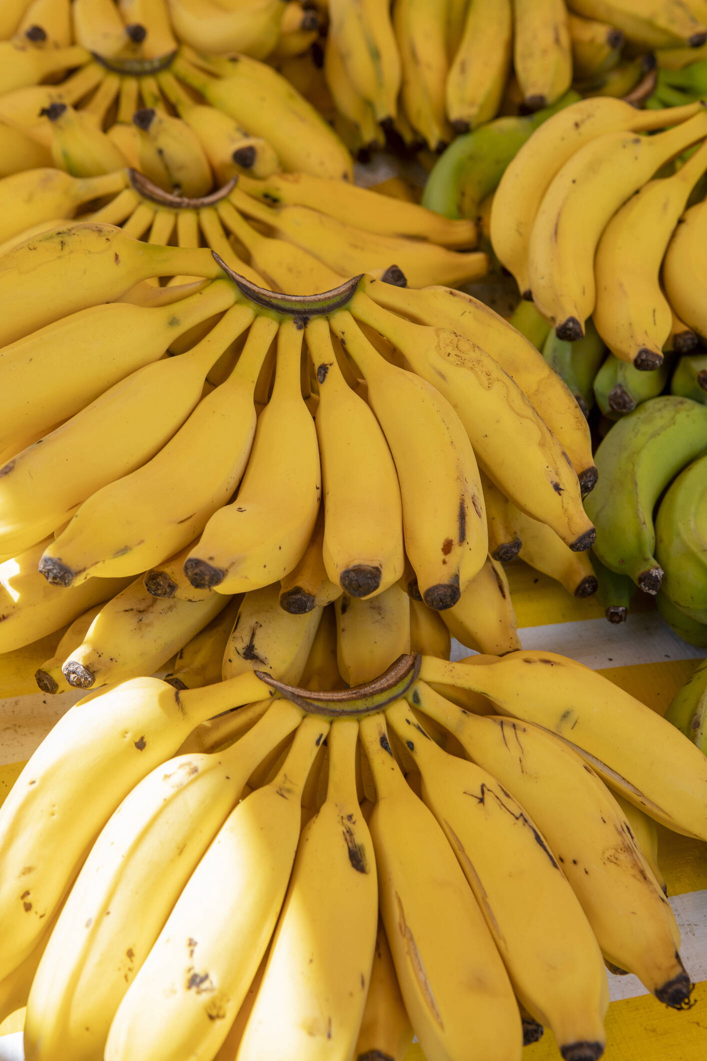 ¿Cómo se le dice al banano en otros países y con qué tipo de comidas lo ...