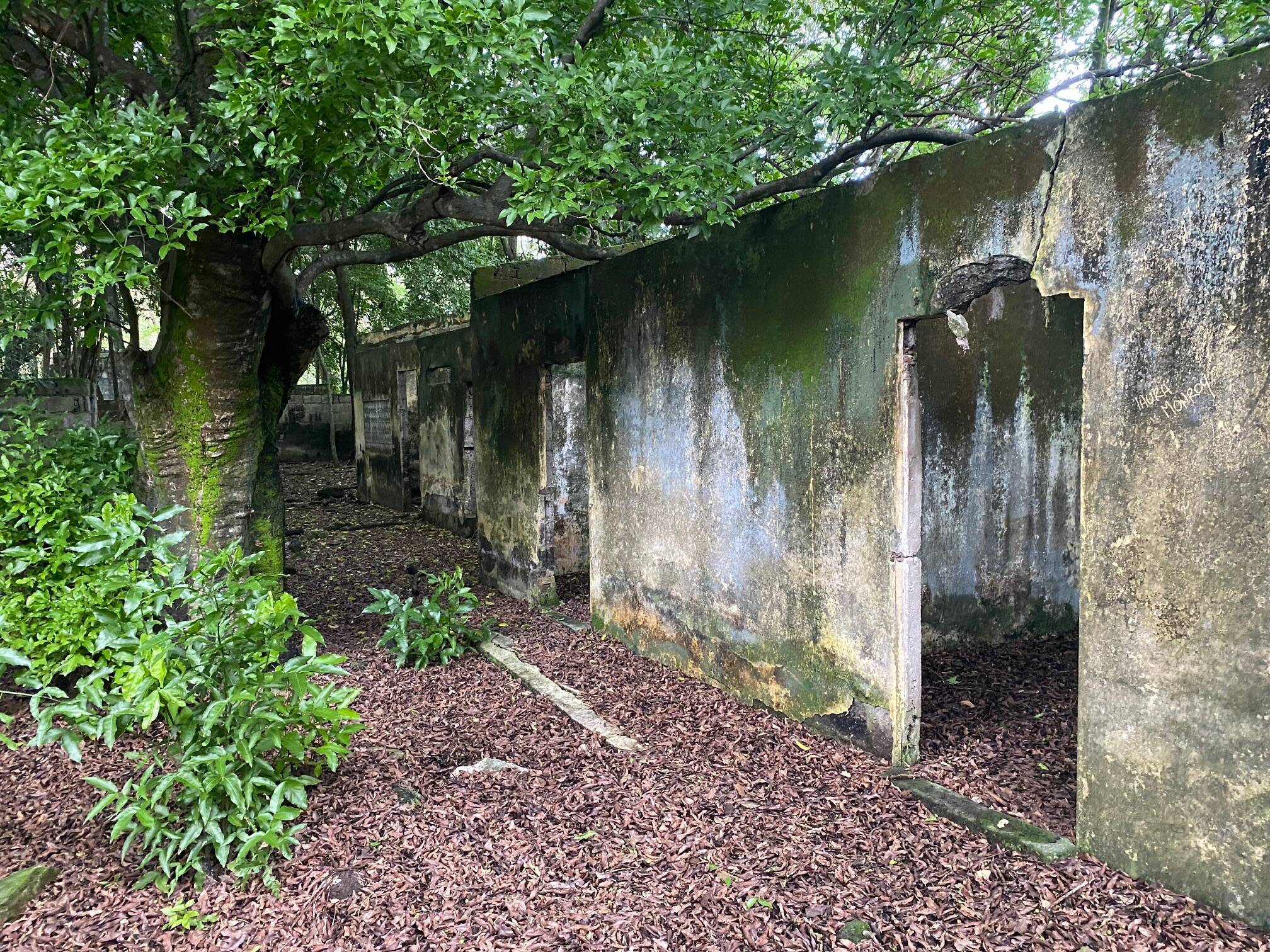 El rastro de Armero: 40 años del peor desastre natural de la historia ...