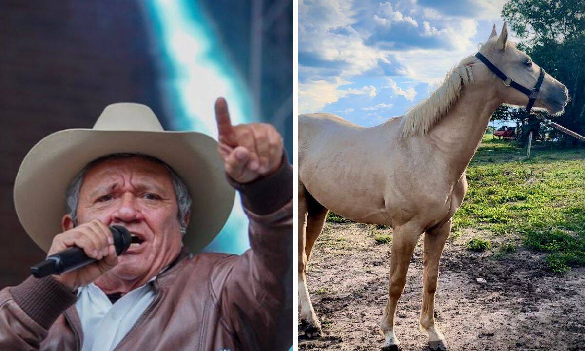 'Cholo' Valderrama lamenta la muerte de Juan Esteban, su caballo amarillo