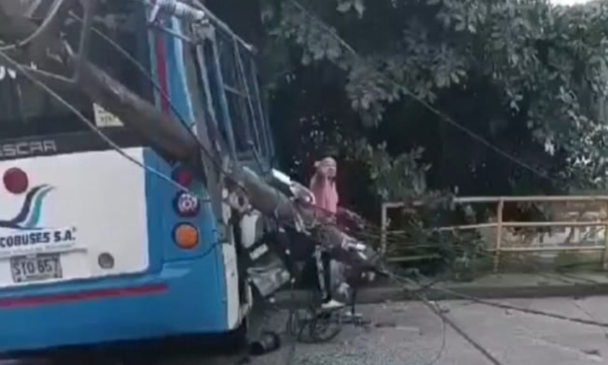 Accidente en Manizales: por fallas mecánicas bus chocó contra poste y ...
