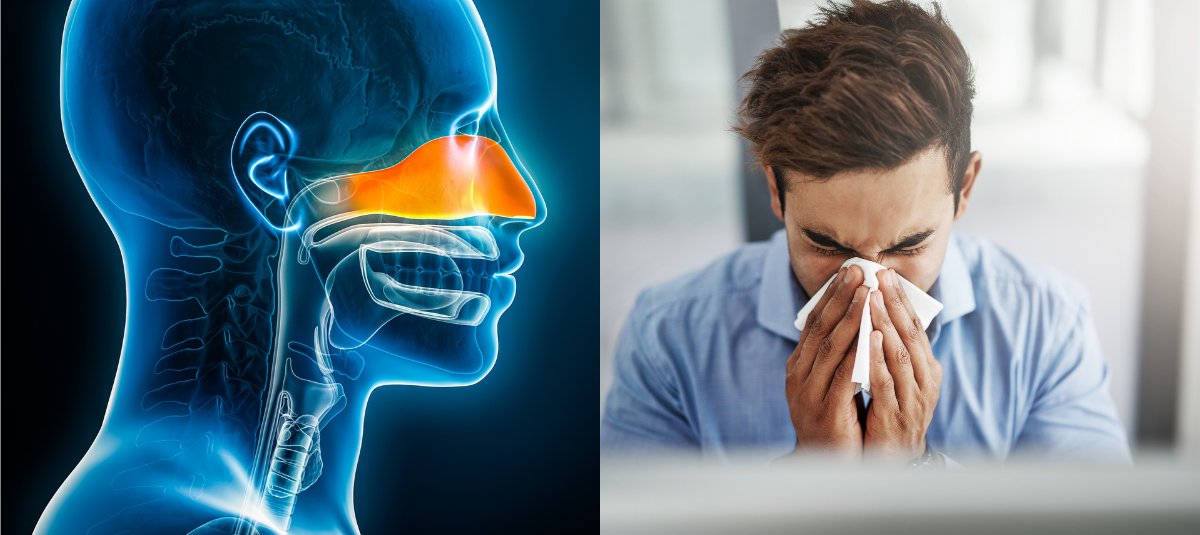 El poderoso ritual para el primero de diciembre que aleja la pobreza y ...