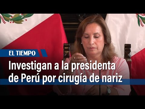 Dina Boluarte, los escándalos que tienen a la presidenta más impopular de Perú ante la presión ...