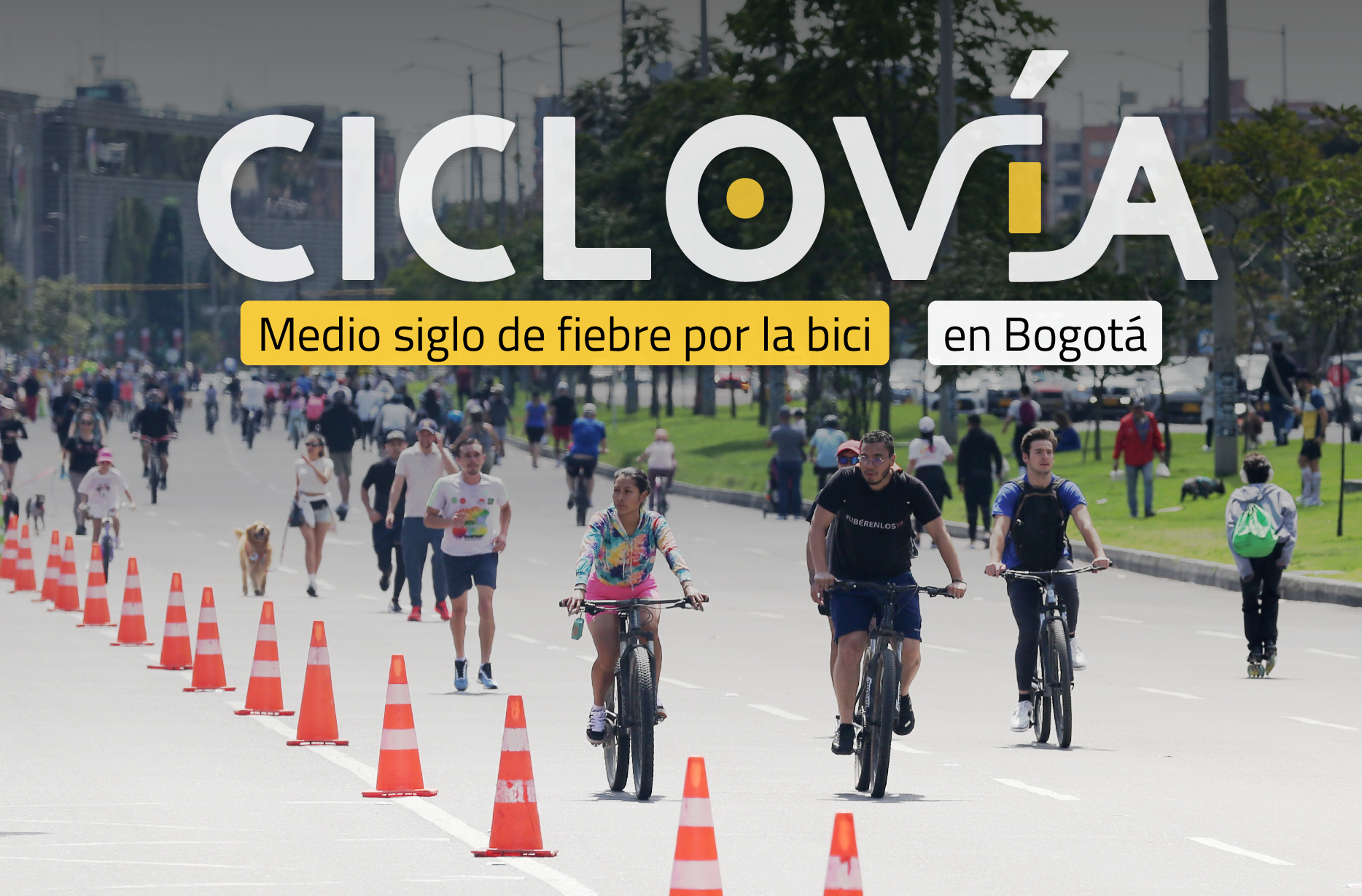 Ciclovía: medio siglo de fiebre por la bicicleta en Bogotá; esta es la ...