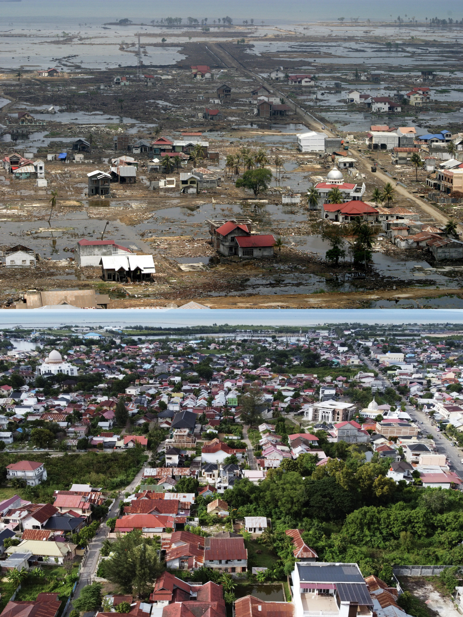 ¿Hay riesgo de tsunami en Colombia? Esto dice el Servicio Geológico ...