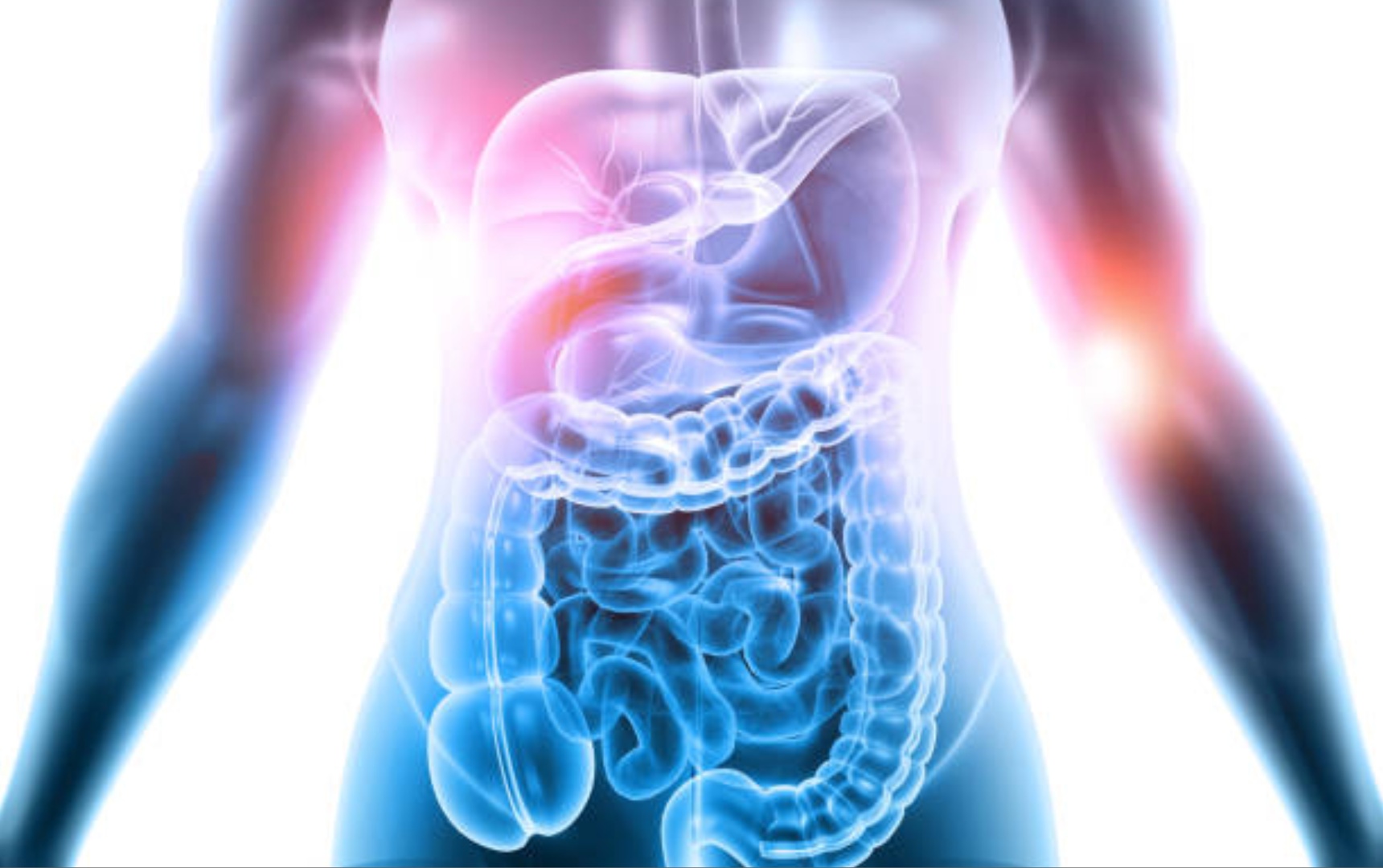 ¿Cómo saber si tiene el colon obstruido? Algunos síntomas que podrían ...