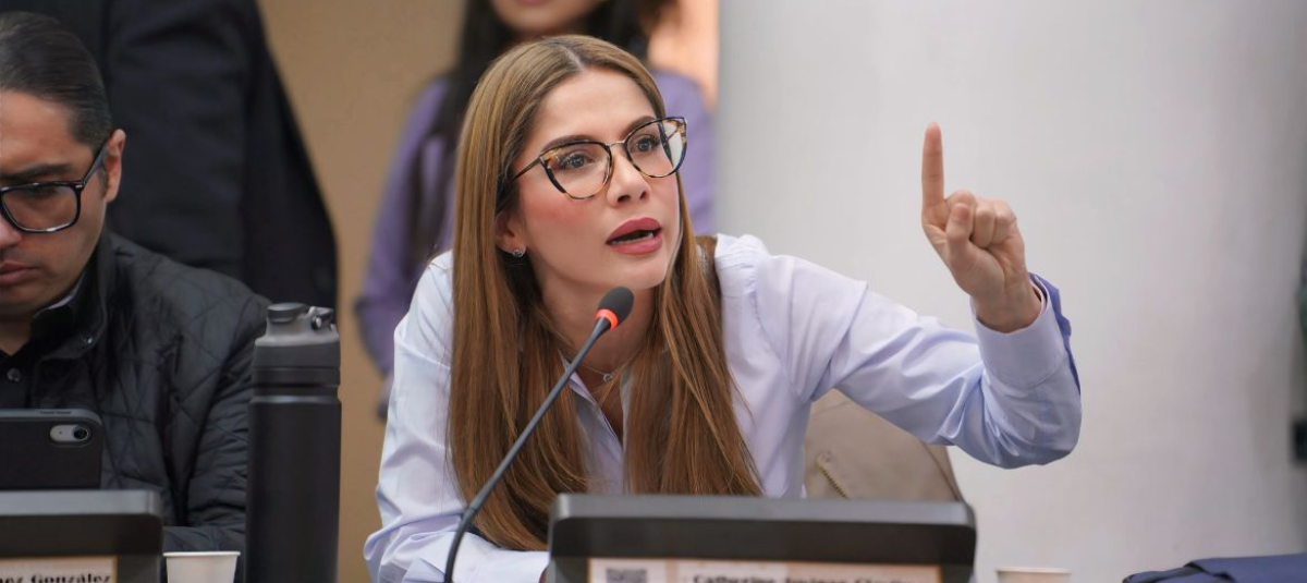 Catherine Juvinao será la cabeza de lista de la Alianza Verde a la ...