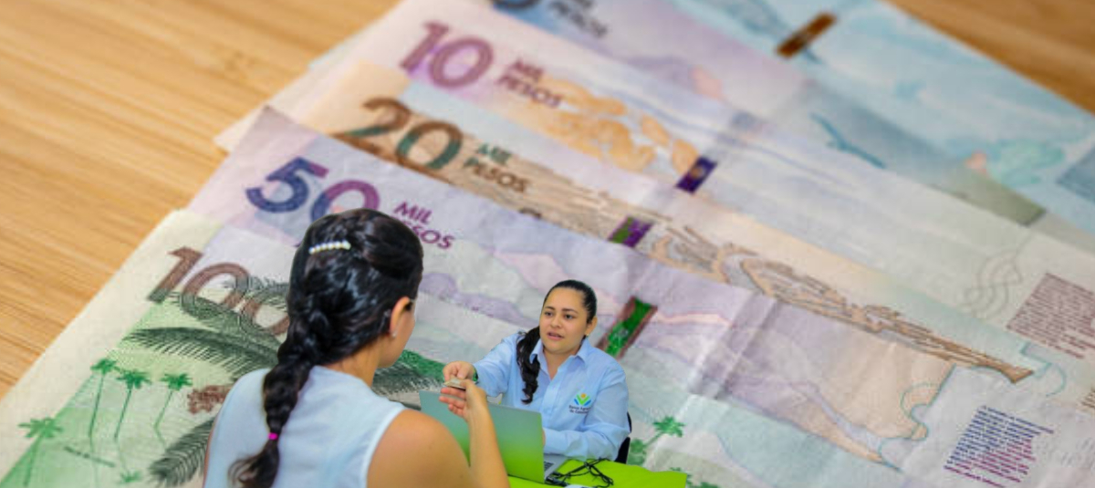 Cursos gratis del Sena que puede hacer los fines de semana en 2025: más ...