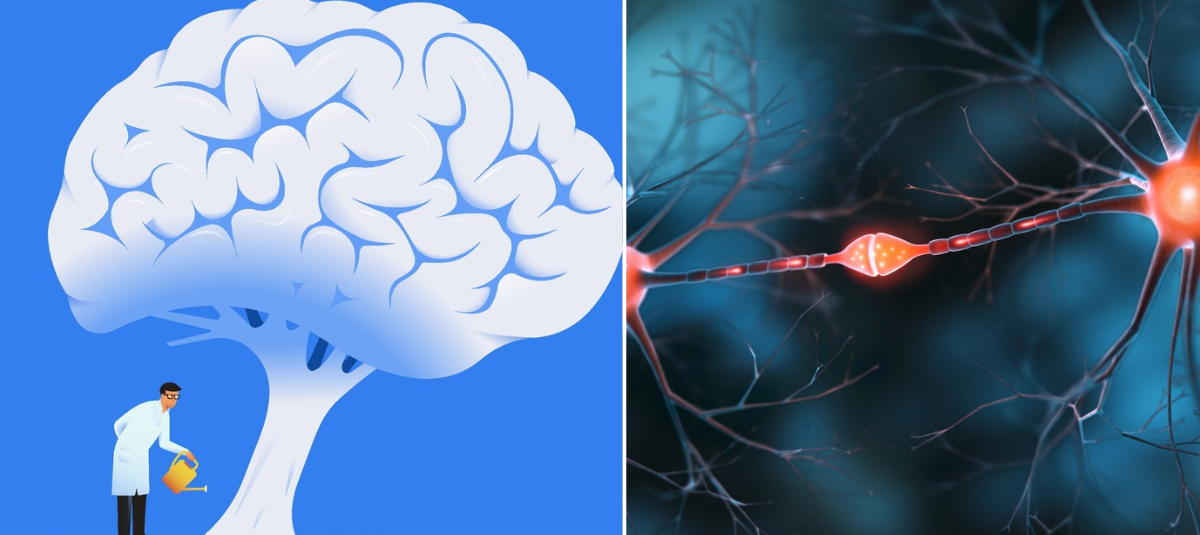 Respirar por la boca moldea la mandíbula y le quita firmeza, vea las consecuencias y su solución