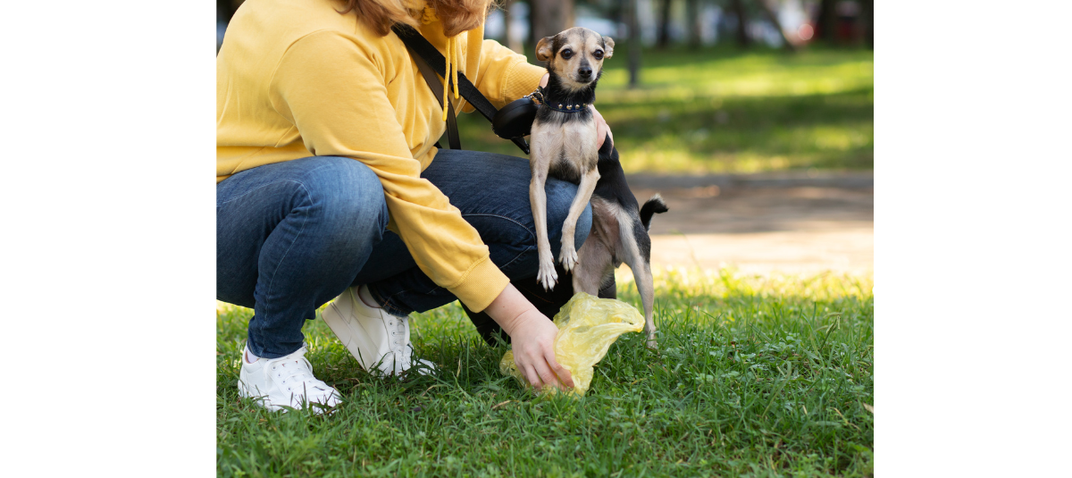 10 enfermedades que los perros pueden transmitir a humanos y quizá no ...