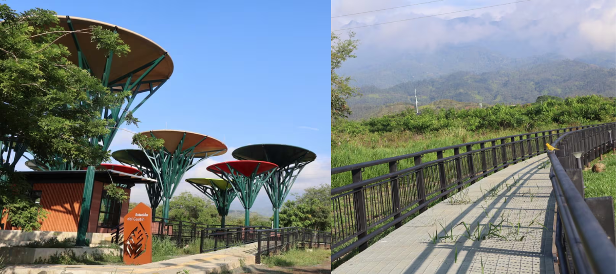 María Cecilia Botero relató el impacto de la enfermedad que le arrebató ...