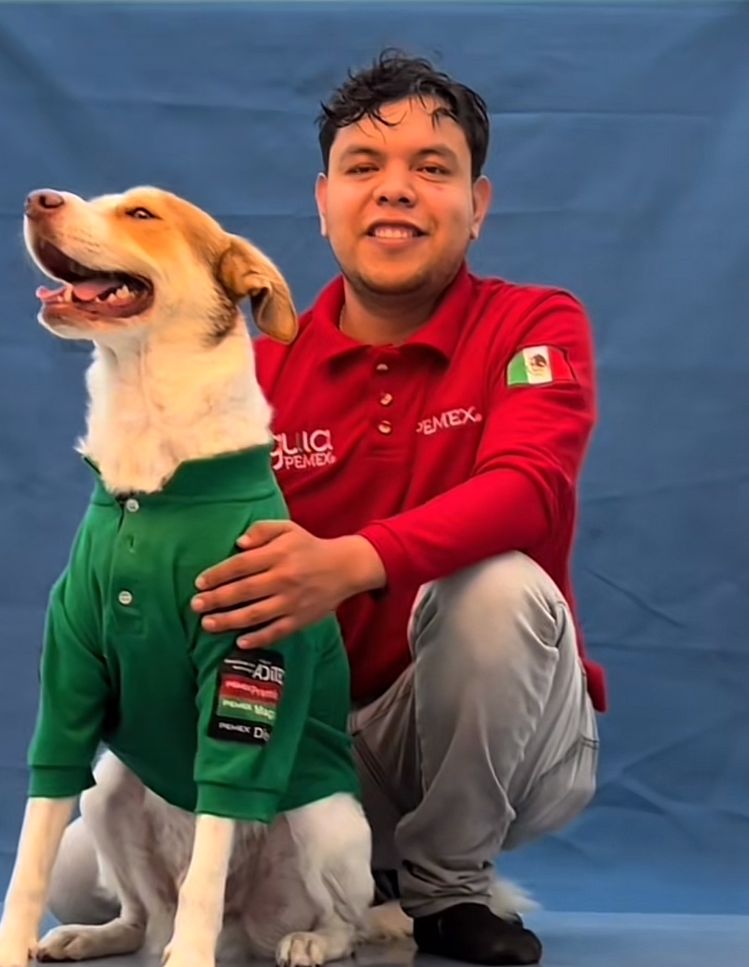 La historia de Mailo, el perrito que fue abandonado en una gasolinera y ...