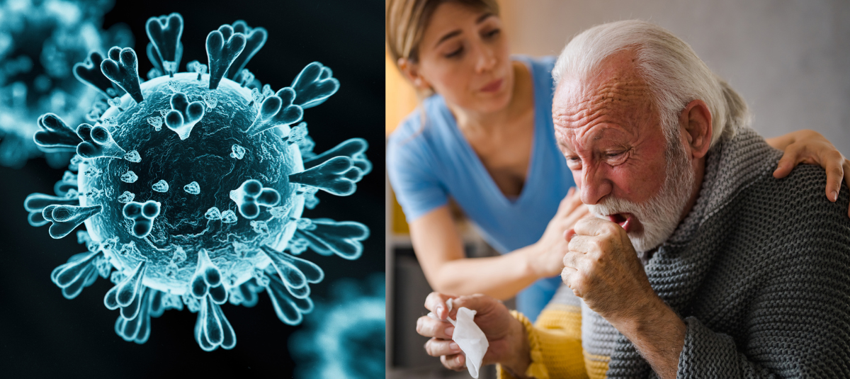 ¿Qué es y cómo se obtiene la clusterina, la proteína que podría ...
