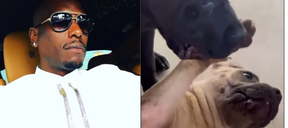 Tyrese Gibson, reconocido actor de la franquicia de 'Rápidos y furiosos ...