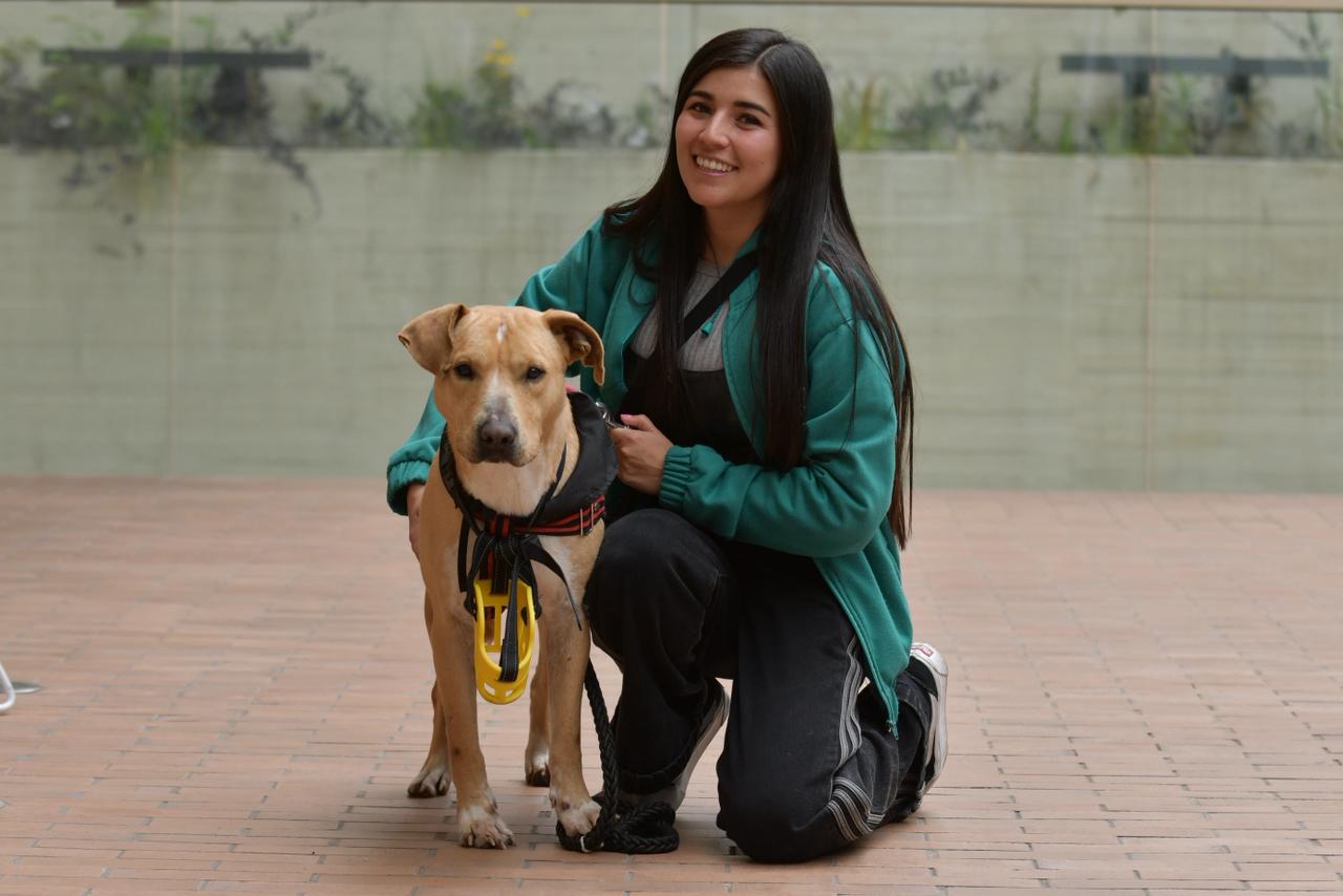 Bogotá será sede del Encuentro Internacional de Ciudades por la Fauna ...