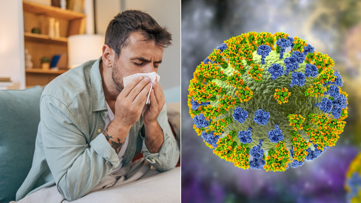 Síntomas del VPH en los hombres, según la Clínica Mayo