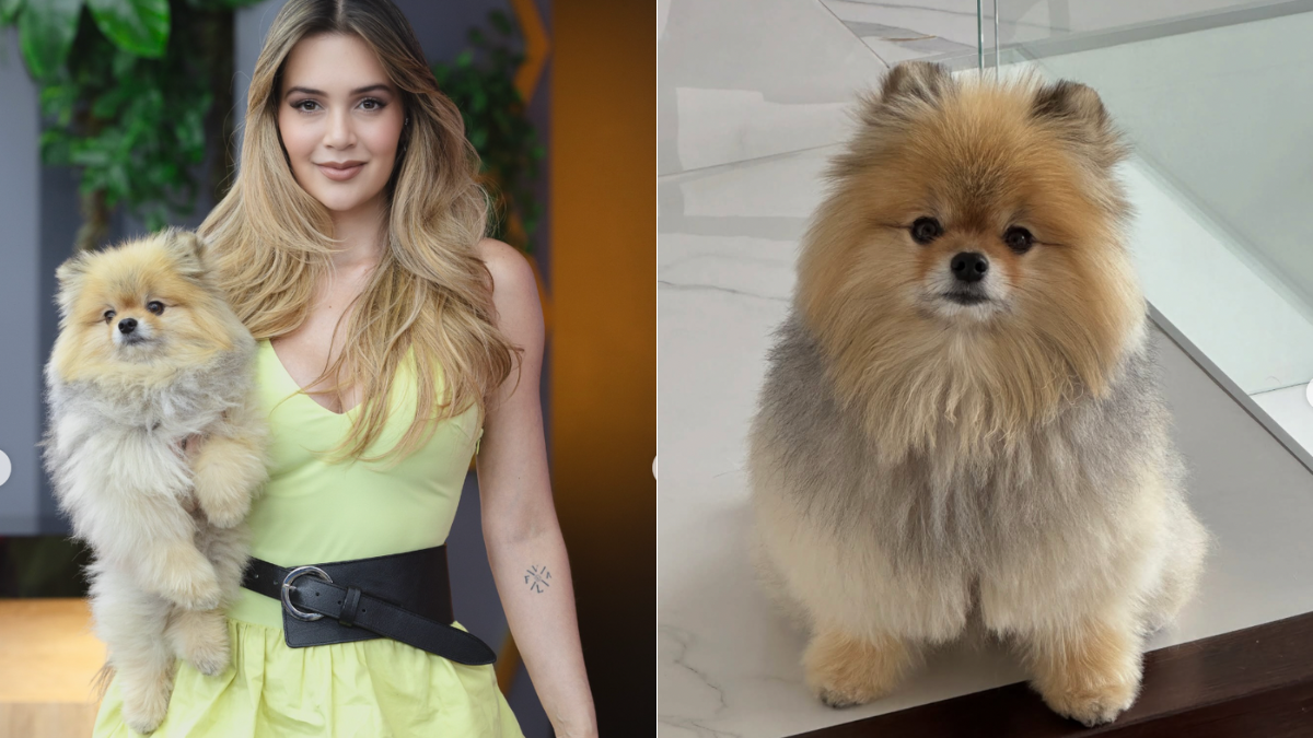 Lina Tejeiro reveló que su perrito ‘Romeo’ murió y lamentó su partida ...
