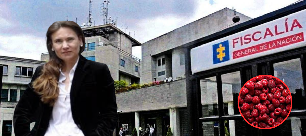 Capturan en Londres a Zulma Guzmán, principal sospechosa de la muerte ...