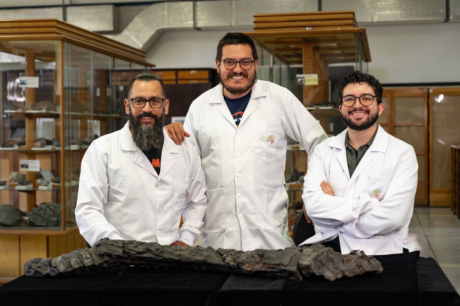 Volcán Puracé registra emisiones de ceniza de hasta 500 metros y se ...