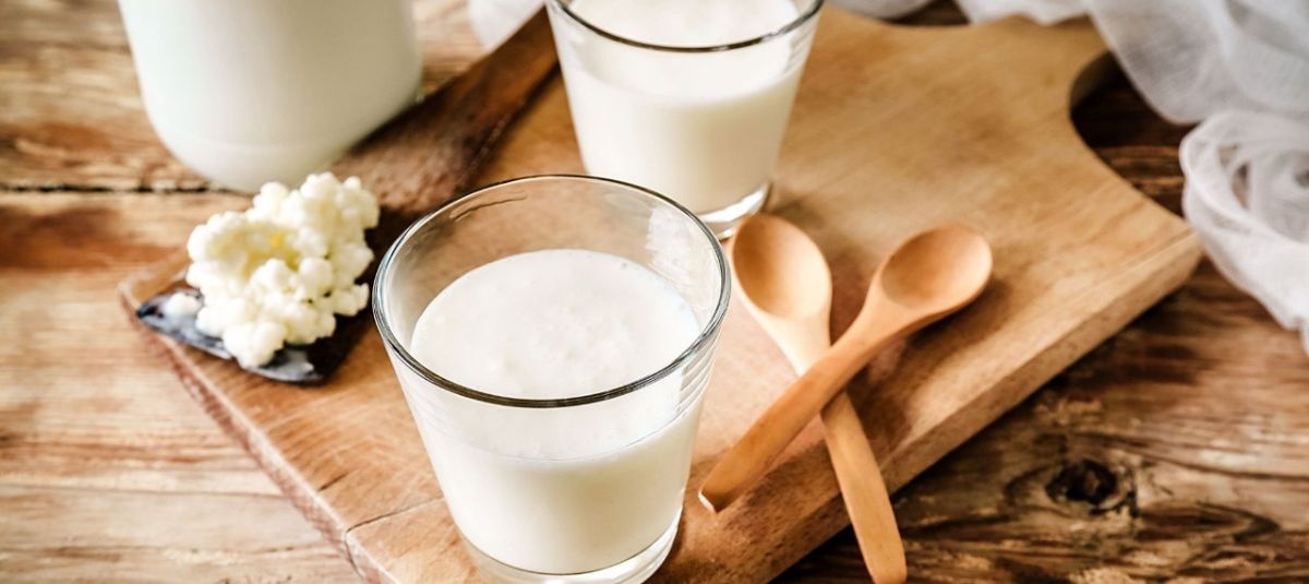 ¿Qué le pasa al cuerpo si consume kéfir todos los días? beneficios para ...