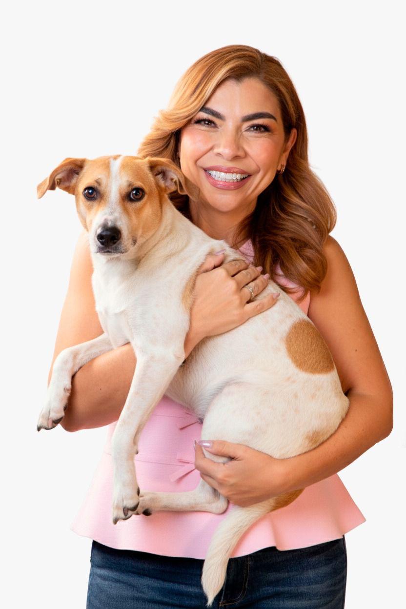 ¿Hospitales públicos para animales en Colombia? Uno de los grandes ...