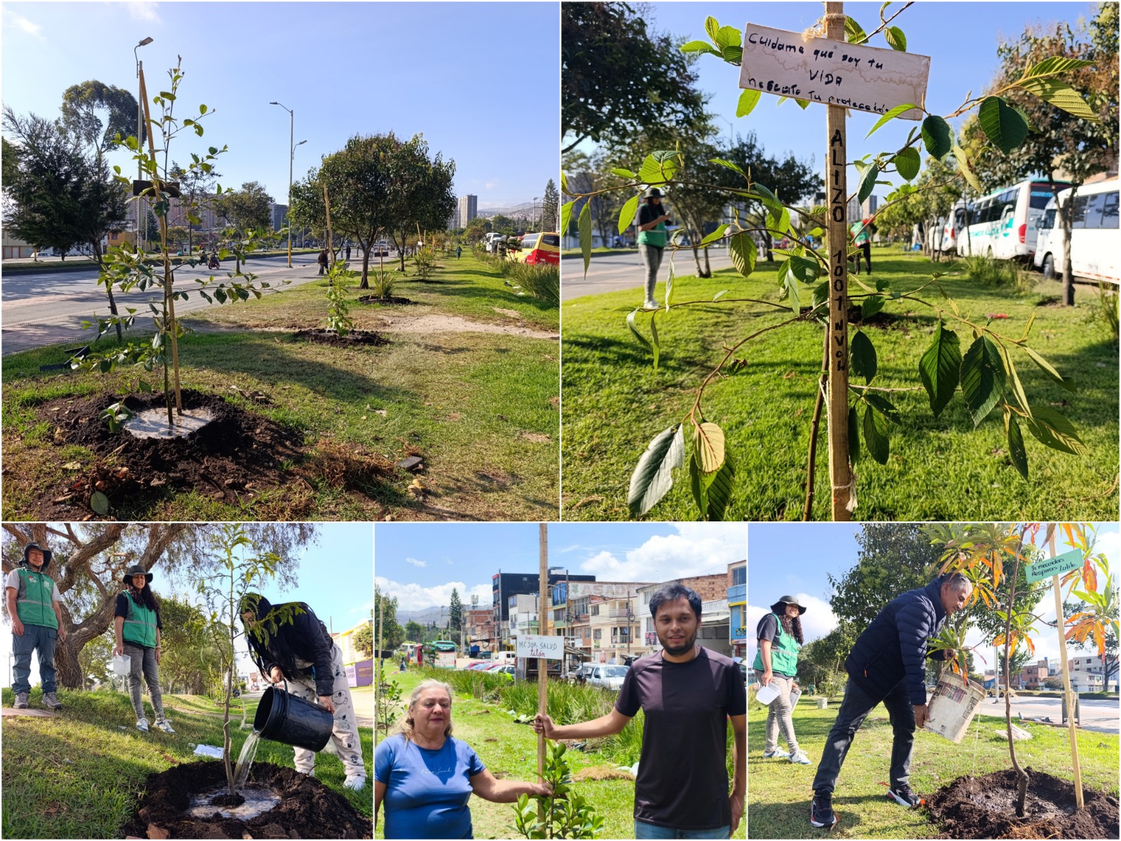 El barrio Olarte empieza a respirar mejor con nueva siembra del Jardín ...