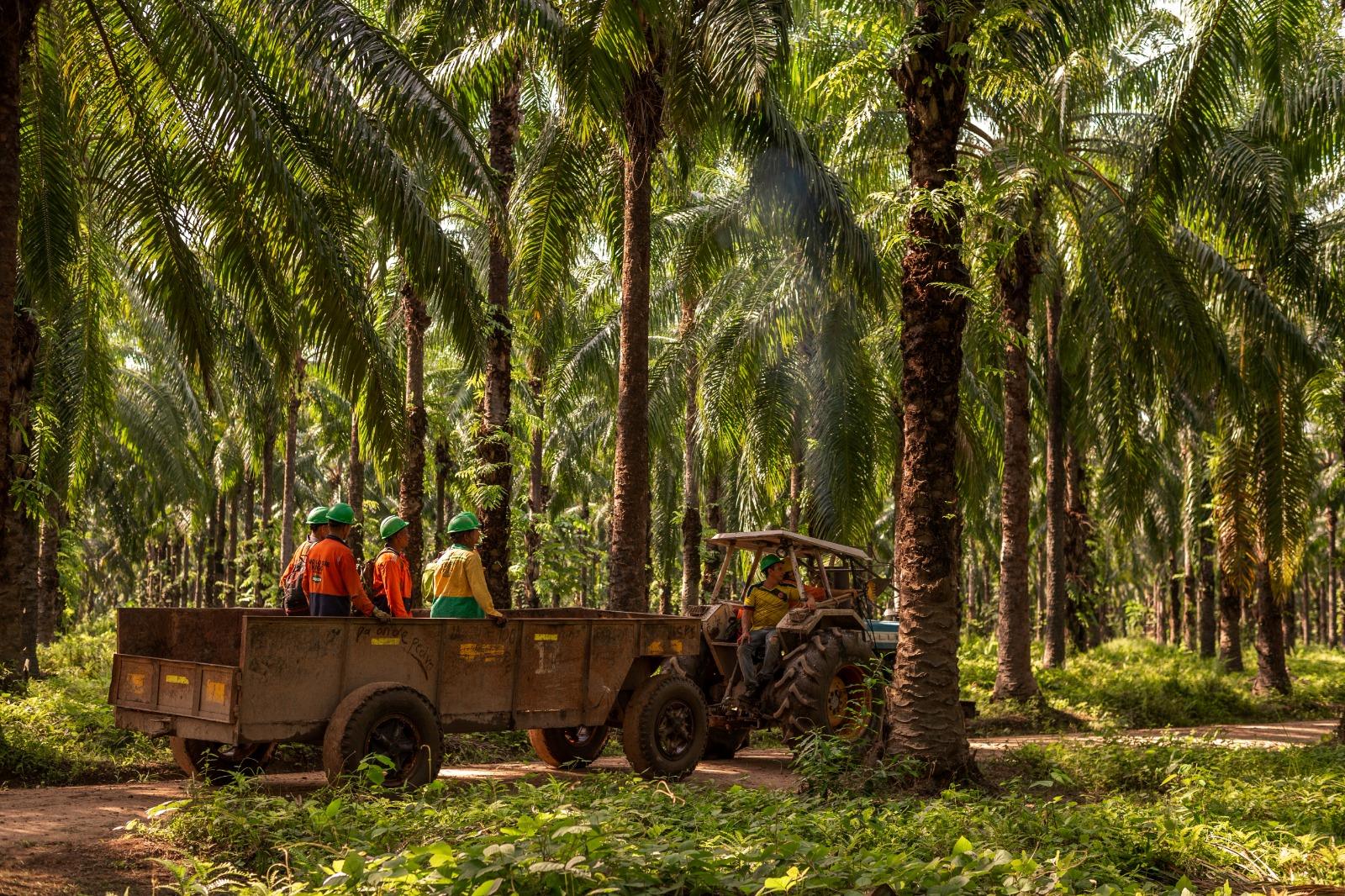 Grupo Daabon de Colombia expande su presencia internacional con compra ...