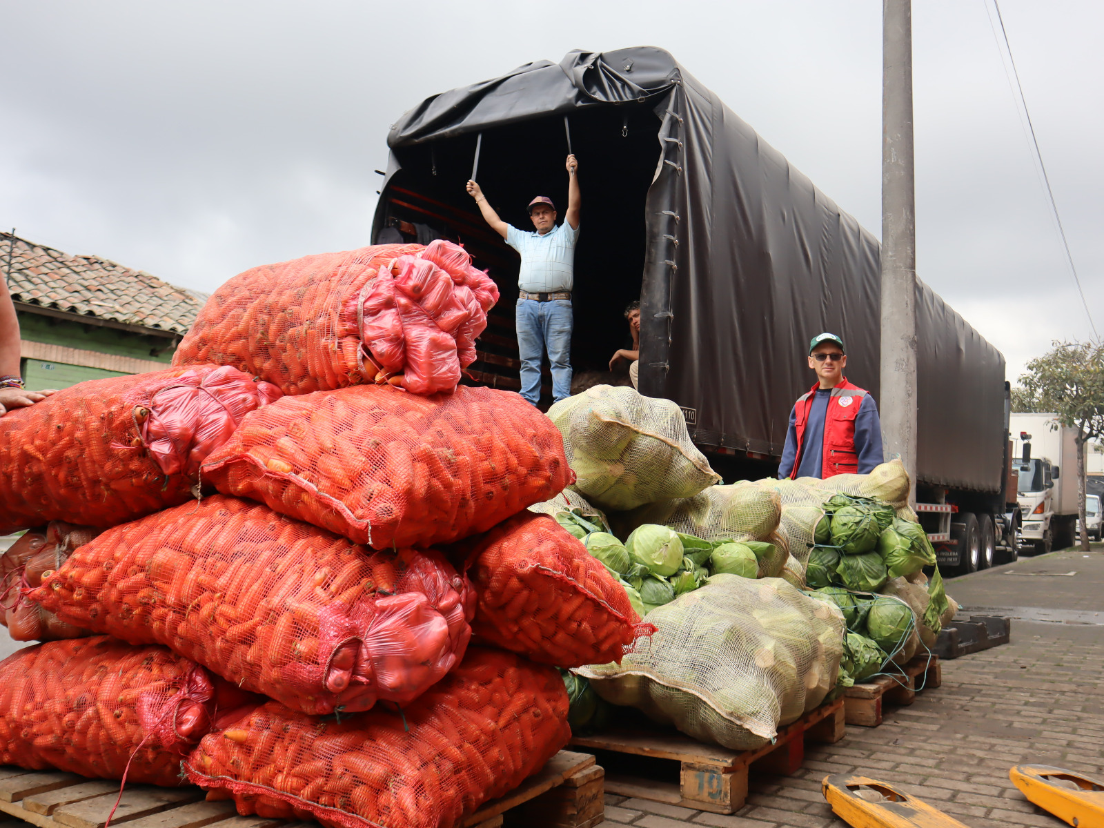Banco de Alimentos de Bogotá entregó más de 22.000 toneladas de comida ...