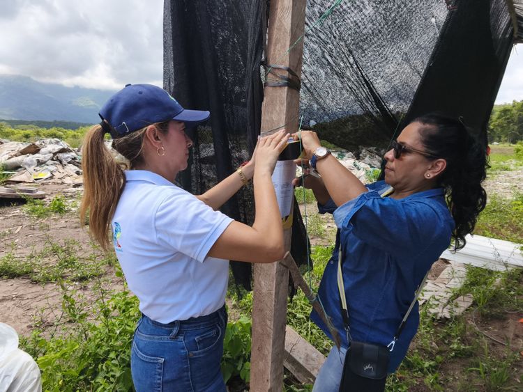 CAR impone medidas preventivas a proyecto solar en Cundinamarca por ...